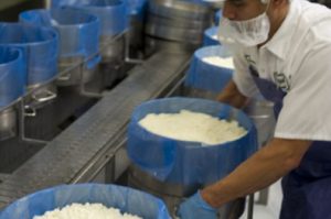 Our Factory - Take A Look Behind The Scenes